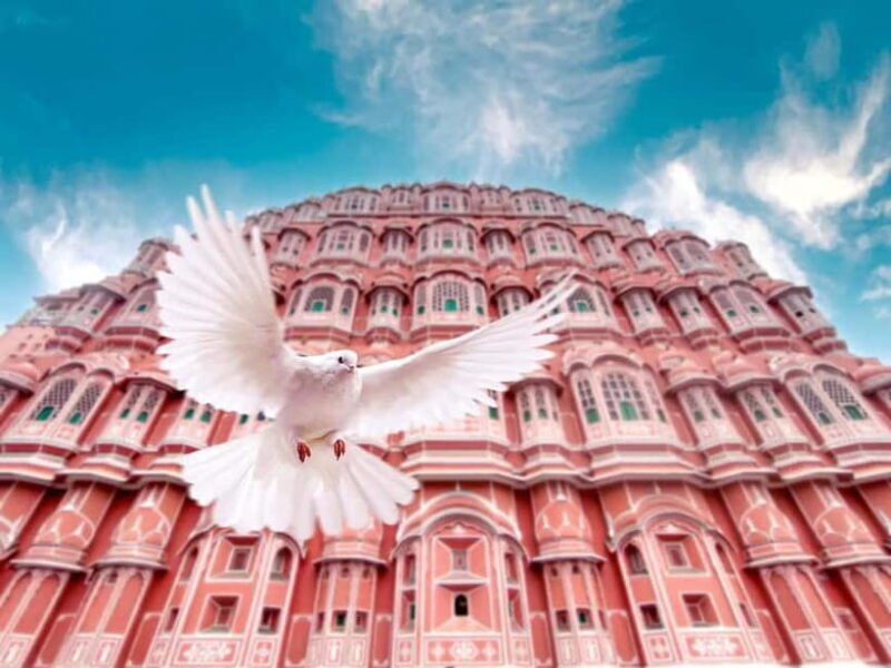 Jaipur: Private Full-Day City Tour with Female Guide - Shopping and Local Flavors