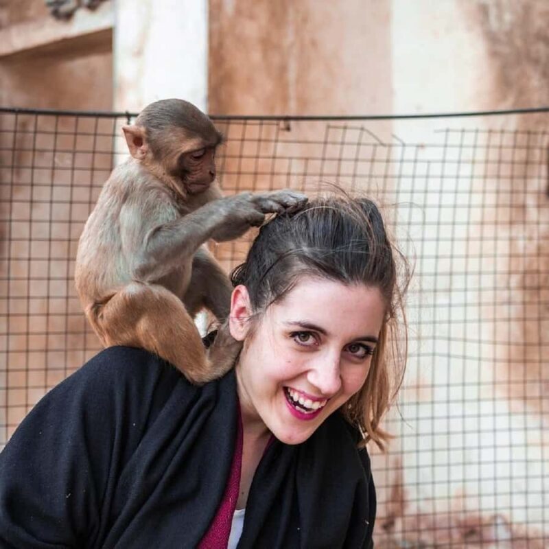 Jaipur: Private Full Day Sightseeing Tour By Car or Tuk-Tuk - Key Points