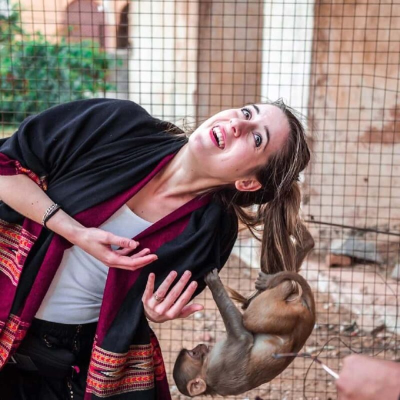 Jaipur: Private Full Day Sightseeing Tour By Car or Tuk-Tuk - Who Will Love This Tour?