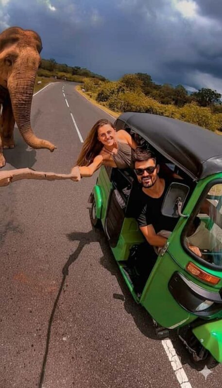 Jaipur: Private Full-Day Top Attraction Tour by Tuk-Tuk - What to Expect from the Experience