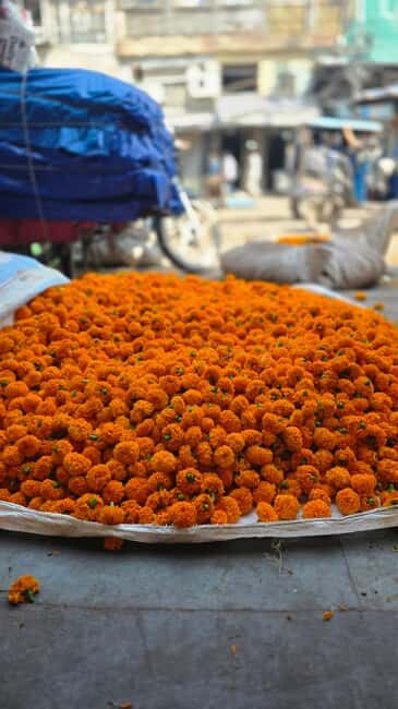 Jaipur: Private Guided Half Day & Full Day Tour in Jaipur - FAQ