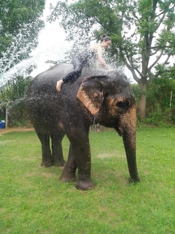 Jaipur: Private Jaipur Trip with Elephant Village Attraction - The Itinerary Breakdown