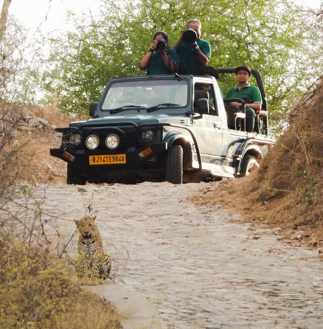 Jaipur: Private Jhalana Leopard Safari Tour - How the Jaipur Jhalana Leopard Safari Works