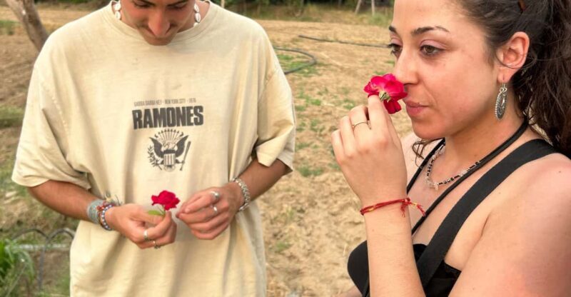 Jaipur: Private PinkCity & Stepwell Heritage Tour with Guide - What to Expect: A Detailed Look at the Itinerary