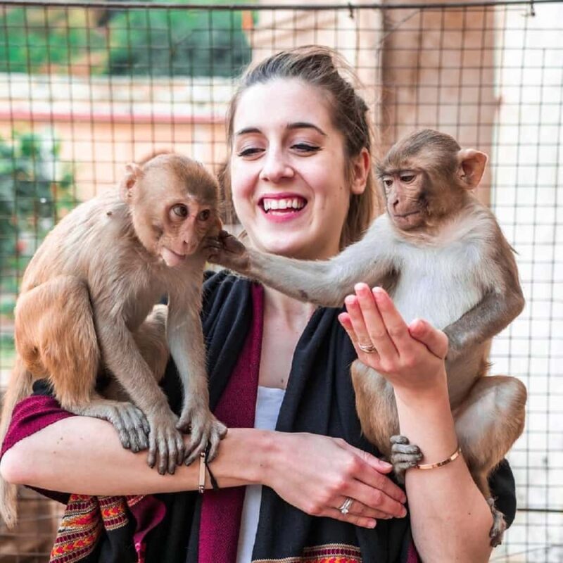 Jaipur: Private Top Attractions Tour by AC Car with Guide - Discovering Jaipur: The Perfect Mix of Comfort and Authenticity