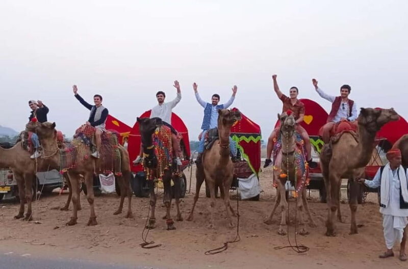 Jaipur: Pushkar Day Trip with Optional Camel Safari - Jaipur: Pushkar Day Trip with Optional Camel Safari — An Authentic Rajasthan Escape