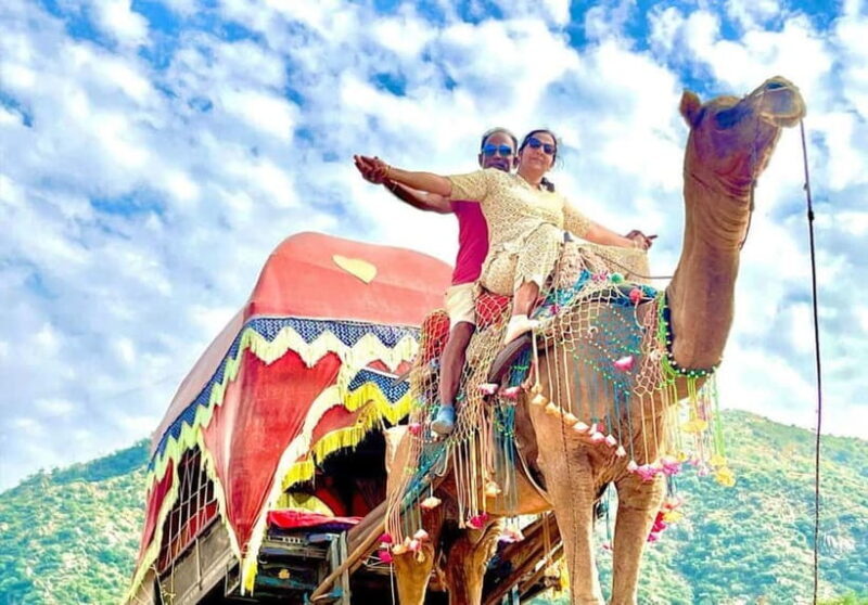 Jaipur: Pushkar Day Trip with Optional Camel Safari - The Sum Up: Who Will Love This Tour?
