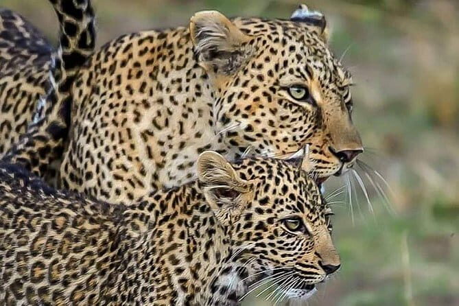 Jaipur Ranthambore Agra Delhi 3 Nights 4 Days - Frequently Asked Questions