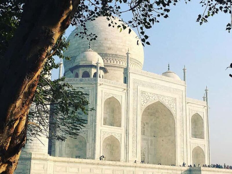 Jaipur: Same Day Taj Mahal & Agra Fort transfer with 5*Lunch - Practical Details: Transportation, Timing, and Value