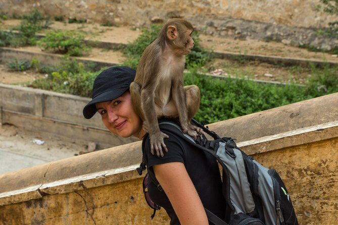 Jaipur Temples and Spiritual Sites Private Tour - Final Thoughts: Is This Tour Worth It?