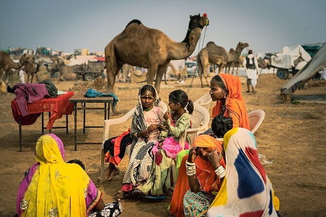 Jaipur to Pushkar Day Trip with Lakeside Lunch - Key Points