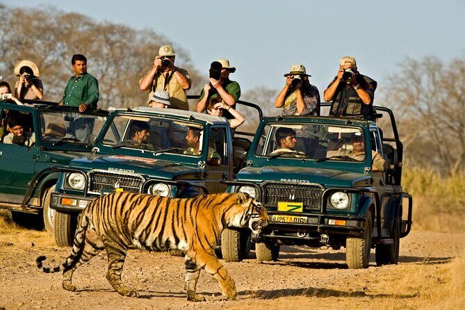 Jaipur to Ranthambore Day Trip with Safari and Transfers - Key Points