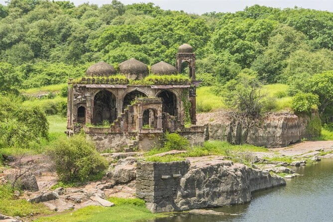 Jaipur to Ranthambore one way drop service - Pricing and Value