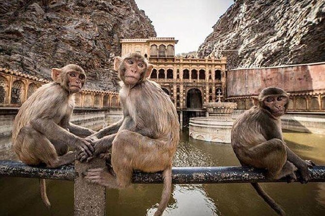 Jaipur Tour By Car & Guide - Private Full Day Sightseeing with Tickets - Discovering Jaipur: An In-Depth Tour Review