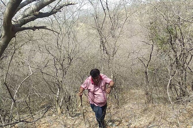 Jaipur Trekking and Hiking Tour with Guide - The Sum Up
