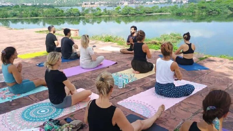 Jaipur: Yoga Experience with Monkey Temple Guided Tour - A Detailed Look at the Experience