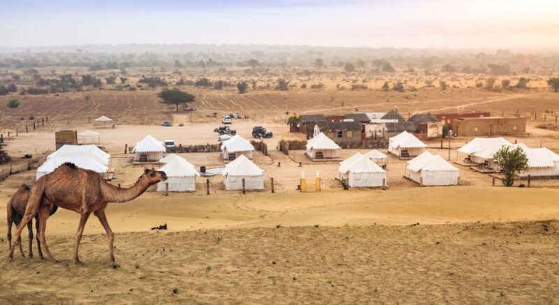 Jaisalmer: 2 Days Adventure in the Thar Desert - The Sum Up: Who Is This Tour Best For?