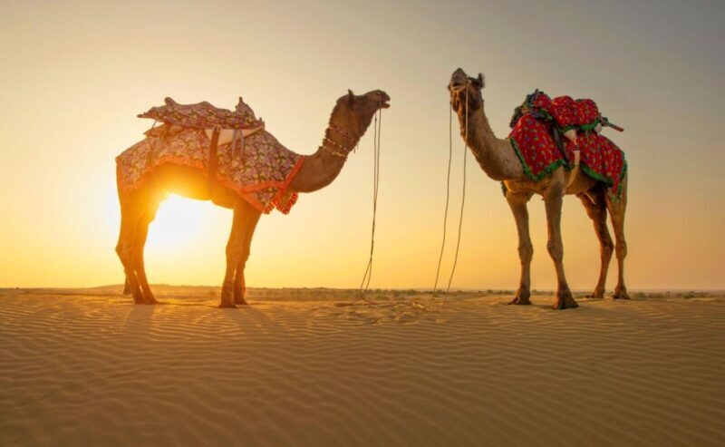 Jaisalmer: 2 Days Adventure in the Thar Desert - FAQ