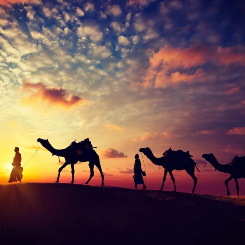 Jaisalmer: Camel Safari, Dinner, and Massage - Sunrise and Return