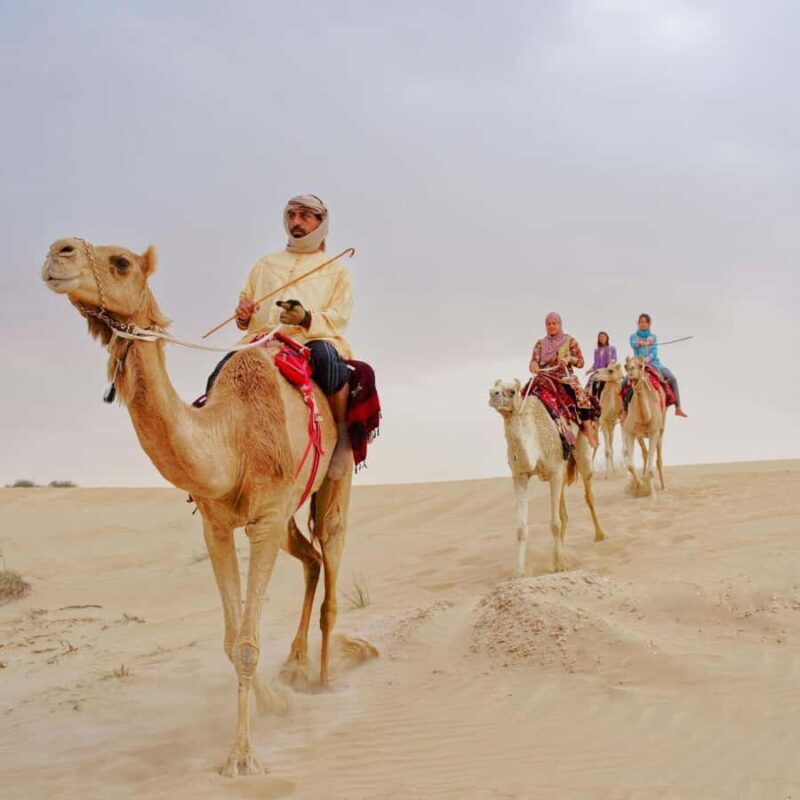 Jaisalmer: Camel Safari, Dinner, and Massage - Practicalities and Value