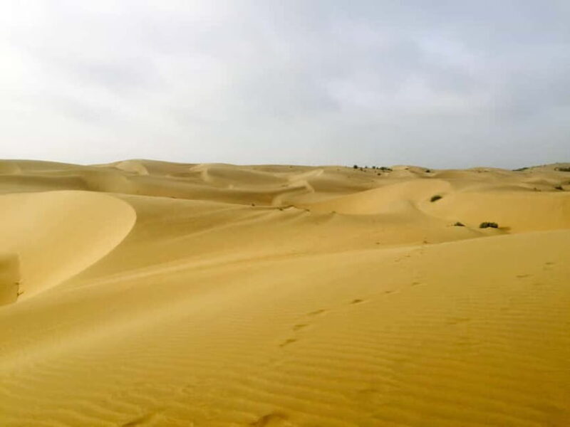 Jaisalmer: Half-Day Camel Tour with Dinner - Who This Tour is Perfect For