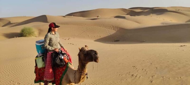 Jaisalmer: Nomadic Overnight Thar Desert & Camel Safari - Key Points