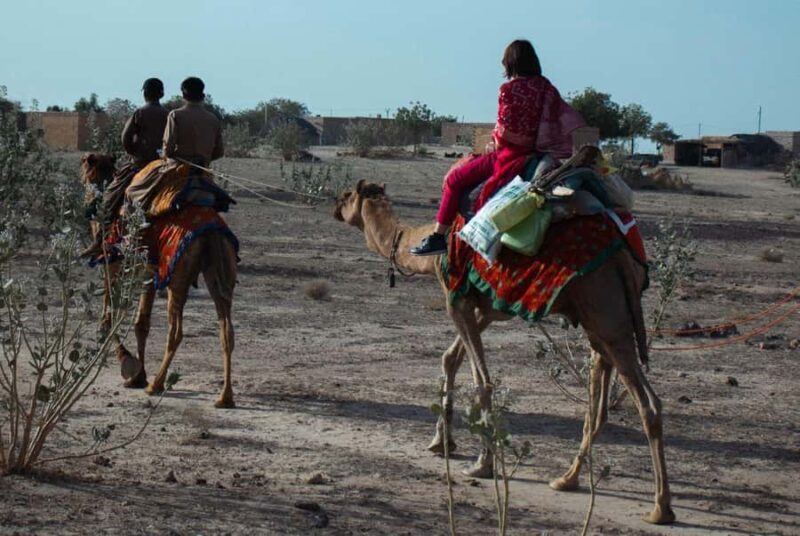 Jaisalmer: Nomadic Overnight Thar Desert & Camel Safari - Final Thoughts