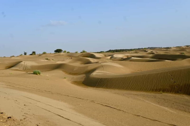 Jaisalmer: Sam Sand Dunes Sunset Tour with Camel Ride - An Honest Look at the Experience