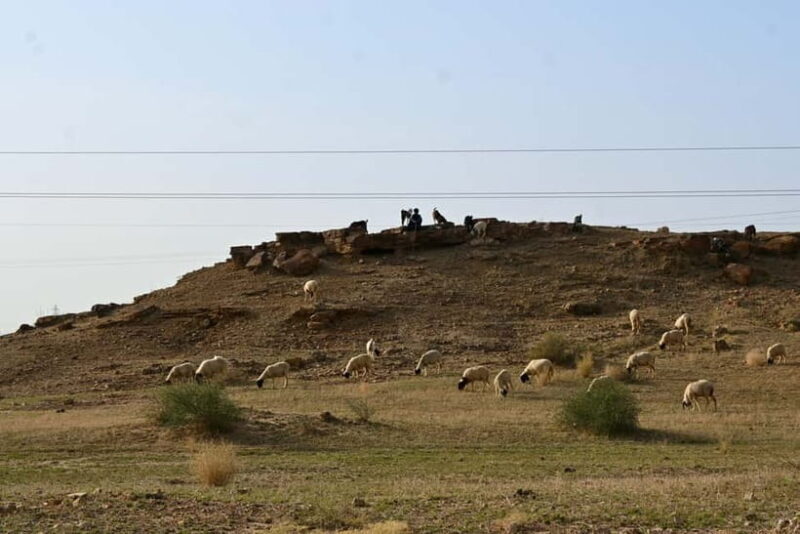 Jaisalmer: Sam Sand Dunes Sunset Tour with Camel Ride - Deep Dive into the Itinerary