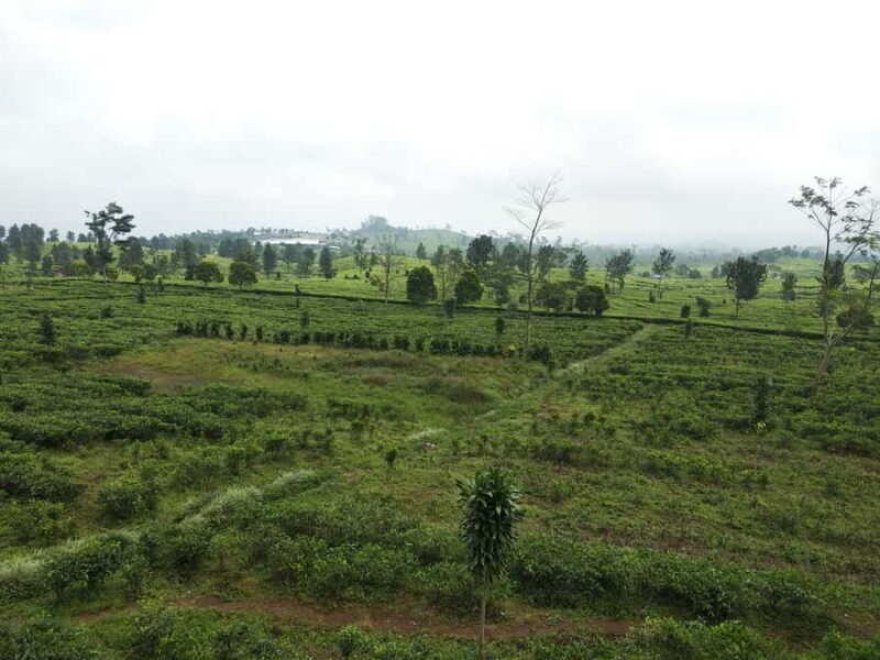 Jakarta: Active Volcano, Waterfall &beautiful local village - Key Points