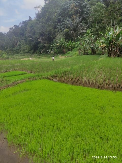 Jakarta: Active Volcano, Waterfall &beautiful local village - What the Reviews Say