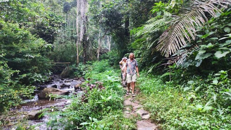 Jakarta: Active Volcano, Waterfall &beautiful local village - Final Thoughts