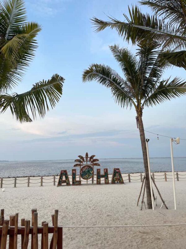 Jakarta: Ancol and Pantai Indah Kapuk | Multilingual Guide - Final Thoughts: Who Should Consider This Tour?