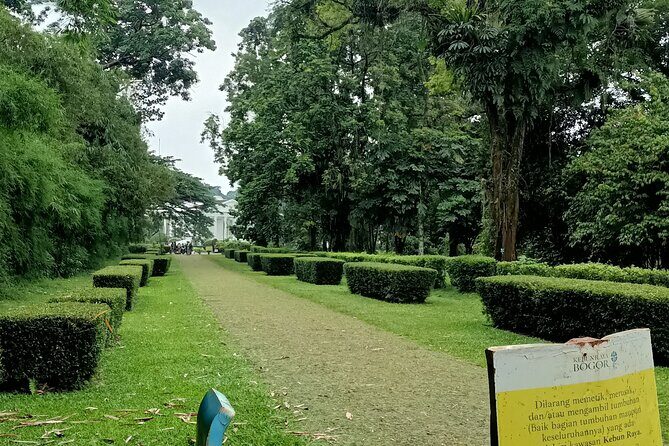 Jakarta Bogor Botanical Garden, Waterfall and Rice terrace, Lunch - Why This Tour Is Worth Considering