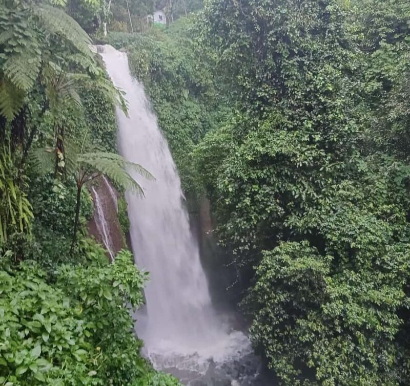 Jakarta Bogor Botanical Garden, Waterfall and Rice Terrace - What We Love About This Tour