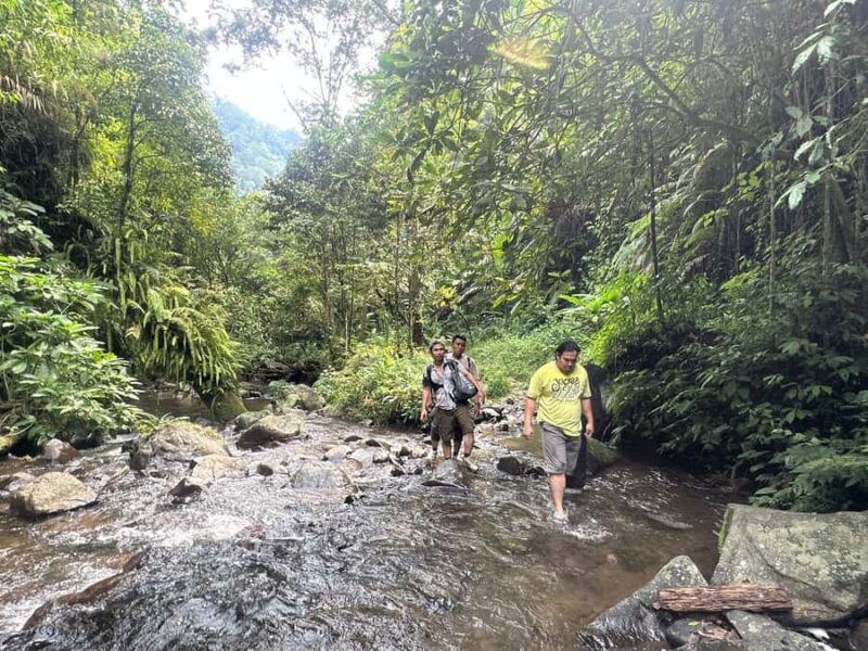 Jakarta: Botanical Garden & Rainforest Trekking to Waterfall - Key Points