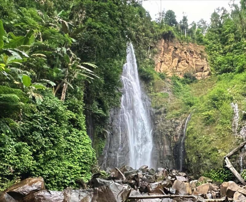 Jakarta: Botanical Garden & Rainforest Trekking to Waterfall - Authentic Local Experiences