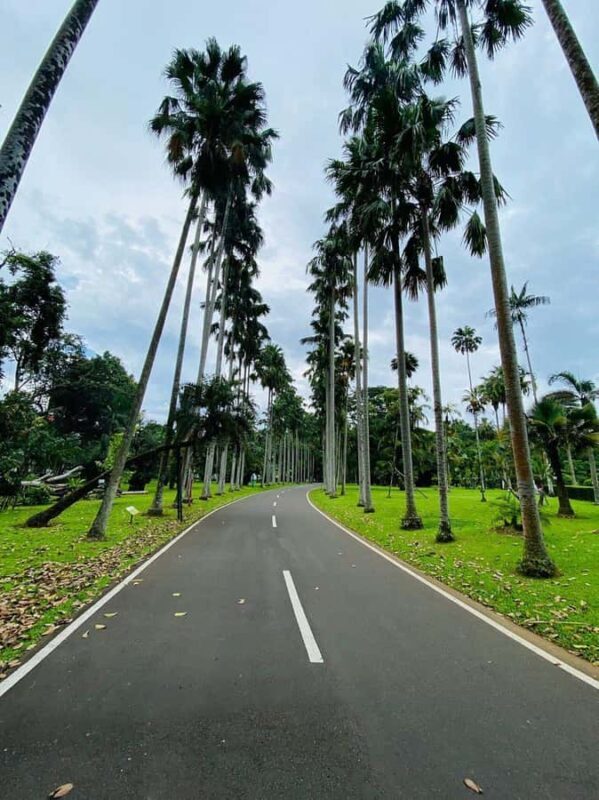 Jakarta: Botanical Garden & Rainforest Trekking to Waterfall - Who Is This Tour Best For?