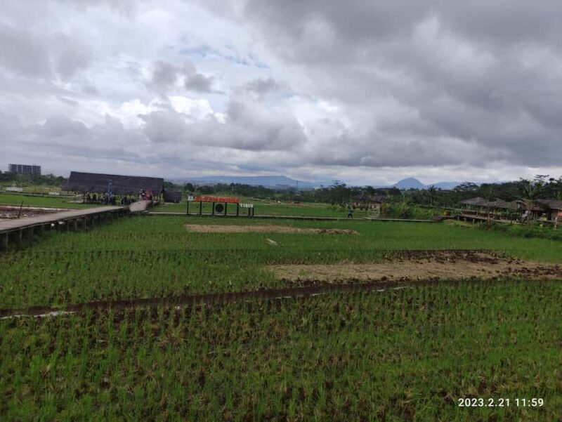 Jakarta : Botanical Garden, Waterfalls, and Rice Fields Tour - Authentic Experiences and Honest Insights