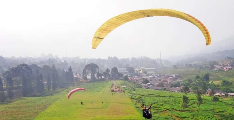 Jakarta: Paragliding on Top Mountain & Tea Plantation - An Authentic Paragliding Adventure Near Jakarta