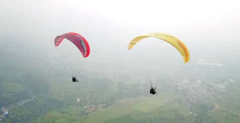 Jakarta: Paragliding on Top Mountain & Tea Plantation - Value and Practical Considerations
