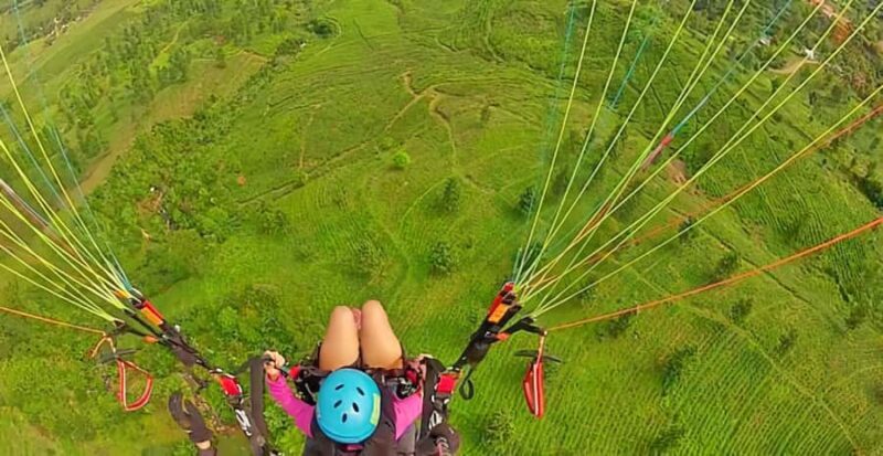 Jakarta: Paragliding on Top Mountain & Tea Plantation - Final Thoughts: Who Will Love This Tour?