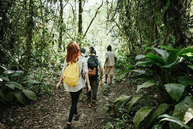 Jakarta Rainforest Hiking to Hidden Waterfall & Suspension Bridge - Who Will Love This Tour?