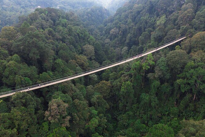 Jakarta Rainforest Hiking to Hidden Waterfall & Suspension Bridge - Final Thoughts