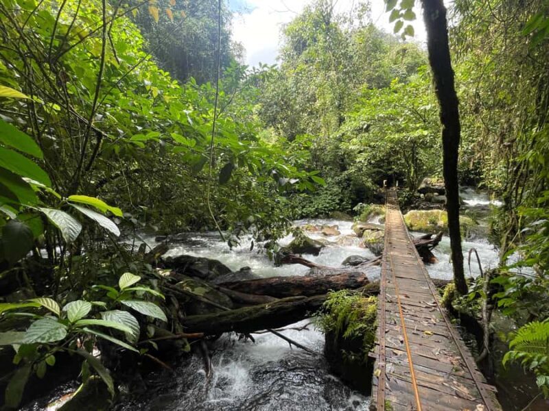 Jakarta: Rainforest Hiking to Waterfall & Suspension Bridge - The Sum Up