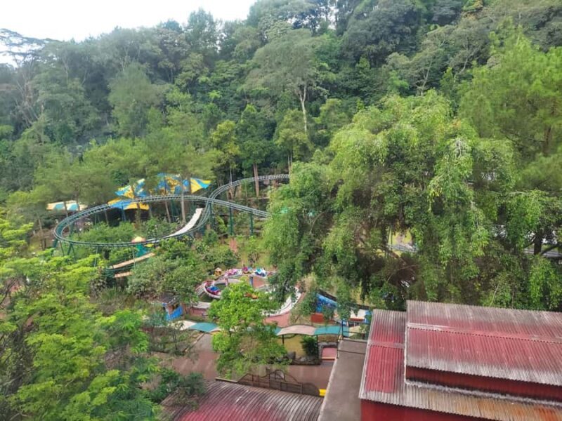 Jakarta : Safari Park Show, Tea Plantation & Waterfall - Key Points