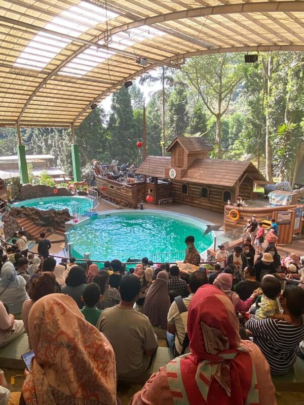 Jakarta : Safari Park Show, Tea Plantation & Waterfall - How Does It Value for Money?