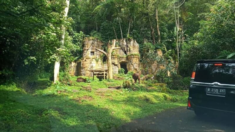 Jakarta : Safari Park Show, Tea Plantation & Waterfall - Who Should Consider This Tour?