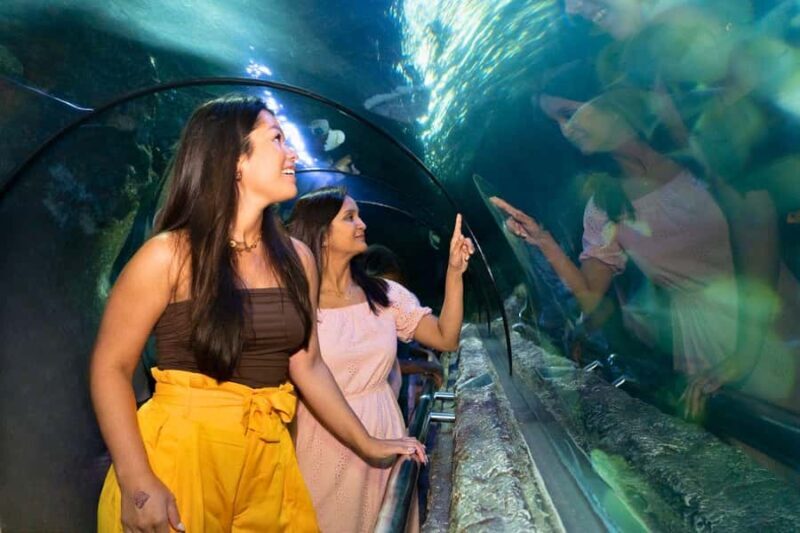 Jakarta: Sea World, Dunia Fantasi, and Ancol Dreamland Tour - Key Points