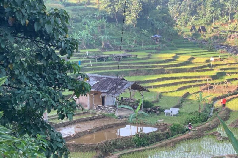 Jakarta: Sentul Pine Forest and Waterfall Trekking Tour - FAQs